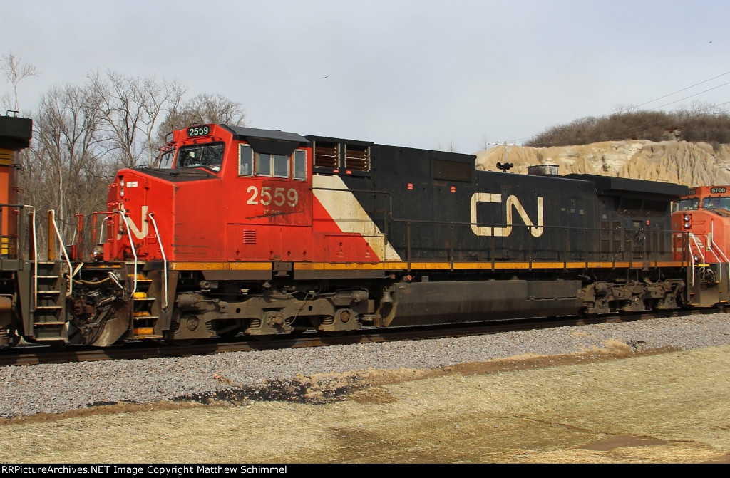CN 2559